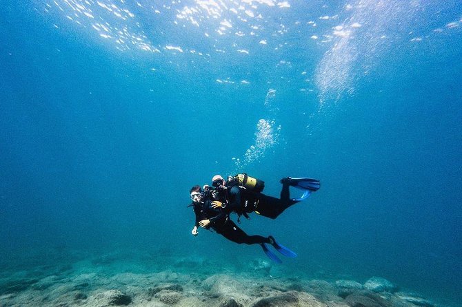 Try Dive in Tenerife - Introduction