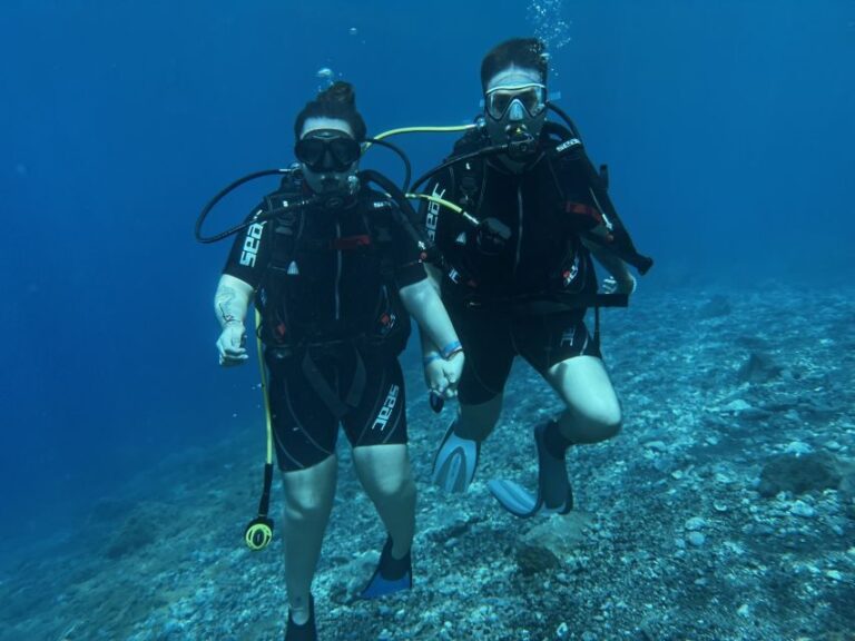 Try diving for the first time in turtle area - Who Will Enjoy This Tour?
