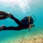 Try scuba dive - What Travelers Are Saying