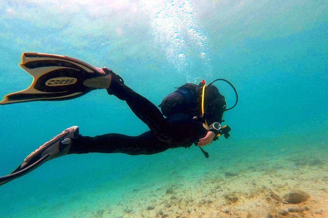 Try scuba dive - What Travelers Are Saying