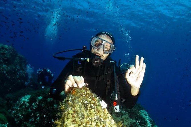 Try Scuba Diving - Key Points