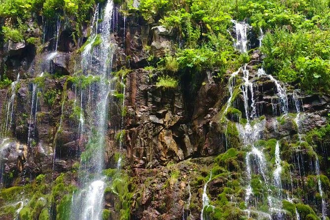 Tsalka Canyon Tour from Tbilisi with Poka Nunnery, Gorelovka and Asureti - Key Points