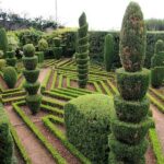 Tuk Tuk Botanical Garden - Madeira Island - The Mini Tour Through Funchal’s Old Town
