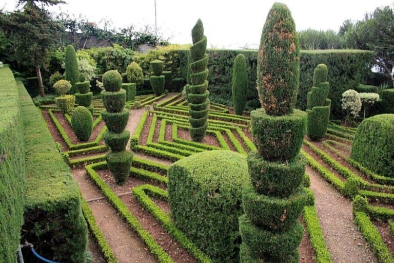 Tuk Tuk Botanical Garden - Madeira Island - The Mini Tour Through Funchal’s Old Town