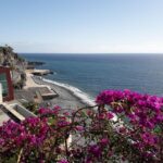 Tuk Tuk Câmara de Lobos - Madeira Island - Exploring Câmara de Lobos: What You Can Expect