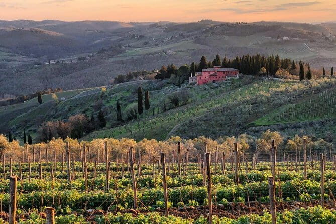 Tuk tuk in Chianti - Authentic Experiences: What Travelers Say