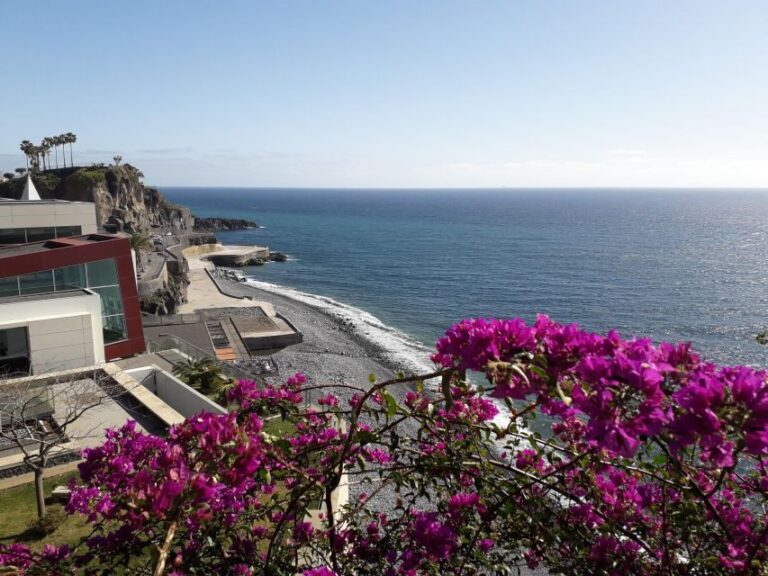 Tuk Tuk Wine Tour - Madeira Island - Detailed Breakdown of the Tour