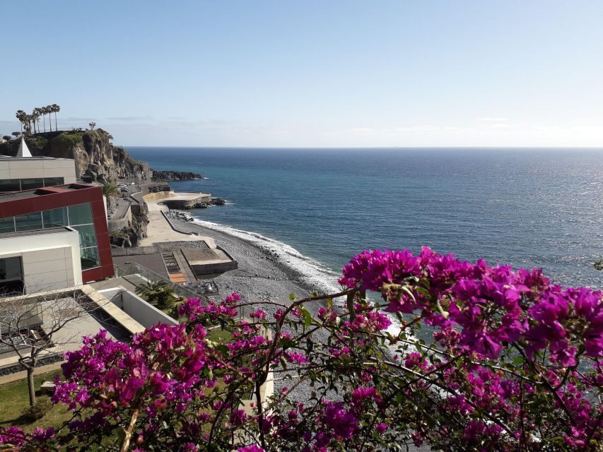 Tuk Tuk Wine Tour - Madeira Island - Detailed Breakdown of the Tour