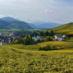 Turckheim: the town where the dragon sleeps, walking tour - Who Will Love This Tour?
