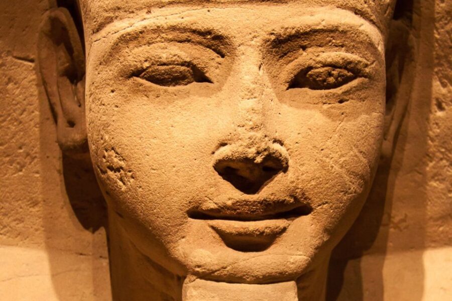 Turin: Egyptian Museum Skip-the-Line Private Guided Tour - Why This Tour Is a Great Value