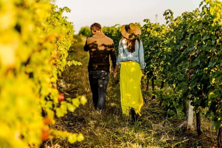 Turin: Langhe Wine Tour with Private Transfers and Lunch - What’s Included and What to Expect