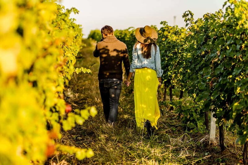 Turin: Langhe Wine Tour with Private Transfers and Lunch - What’s Included and What to Expect