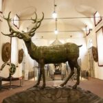 Turin: Stupinigi Royal Hunting Lodge Entry Ticket - A Deep Dive into the Stupinigi Experience