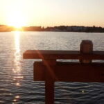 Turku: Floating Sauna Cruise - Who Will Love This Experience?
