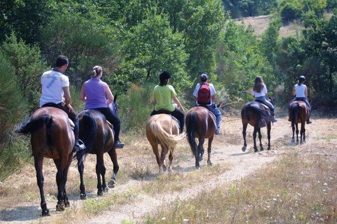 Tuscan Chianti Hills Horseback Riding Tour - The Scenery: Why It Matters