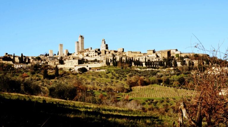 Tuscan Cooking Class & Winery Tour in San Gimignano - The Cooking Class