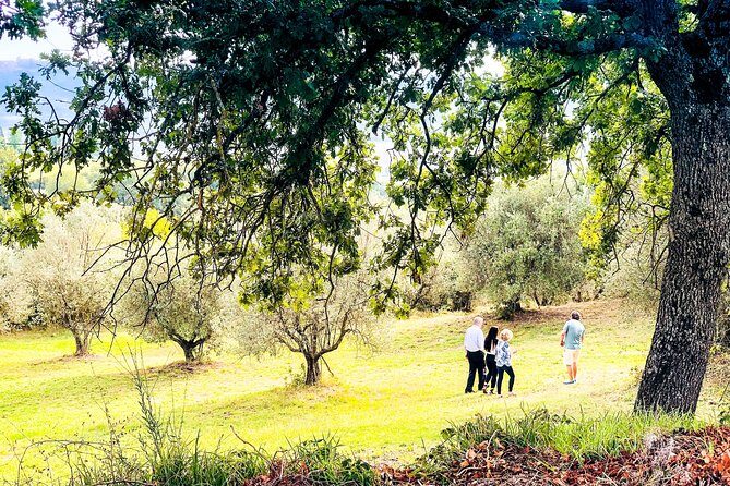 Tuscan picnic - Transportation, Group Size, and Additional Details