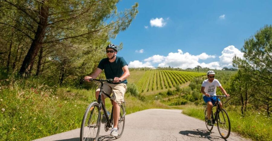 Tuscany: E-Bike Tour from Florence with Lunch - Visiting Chianti’s Wineries and Olive Oil Mill
