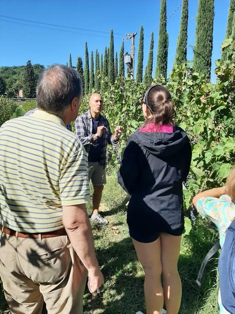Tuscany from Rome- Pienza and Montepulciano private day tour - Who Would Love This Tour?