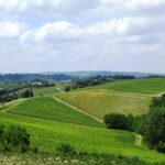 Tuscany: Full-Day Luxury Minivan Tour with Siena and Pisa - A Taste of Siena