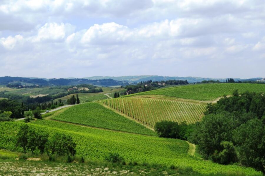Tuscany: Full-Day Luxury Minivan Tour with Siena and Pisa - A Taste of Siena