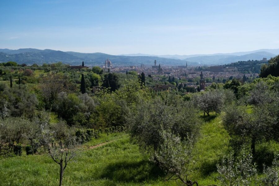 Tuscany Hills Bike Tour with Lunch at farm and Wine Tasting - What to Expect and Practical Details