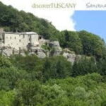 Tuscany: Sanctuary of La Verna Day Tour Private Tour - Real Experiences from Travelers