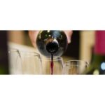 Tuscany: Truffle Hunting and Meal at a Winery - Itinerary Breakdown