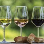 Tuscany: White Wine Tasting with Aperitivo at a Local Winery - Who Will Enjoy This Experience?