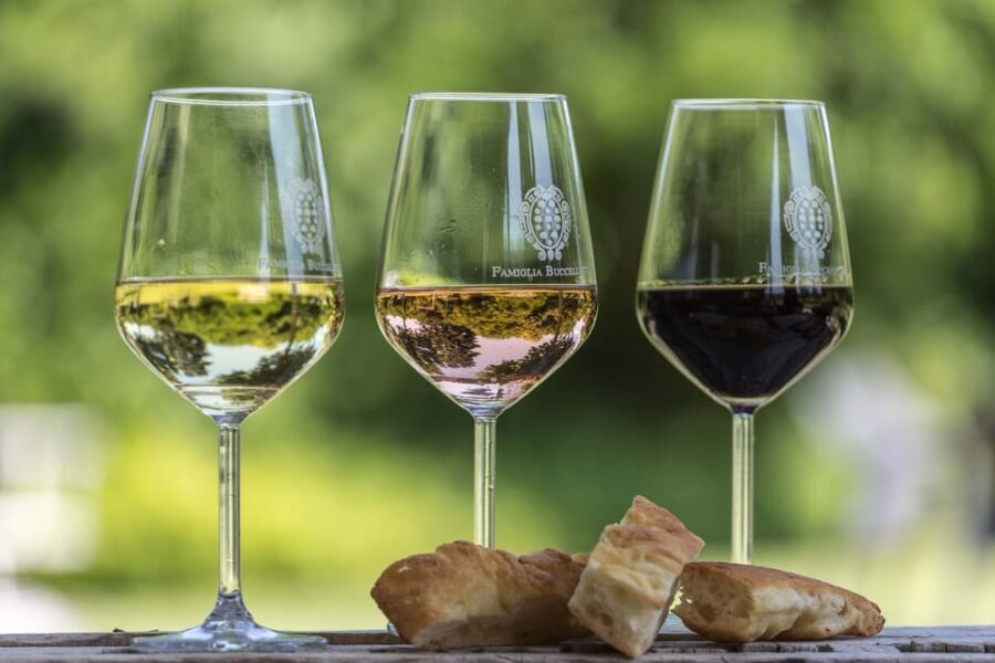 Tuscany: White Wine Tasting with Aperitivo at a Local Winery - Who Will Enjoy This Experience?