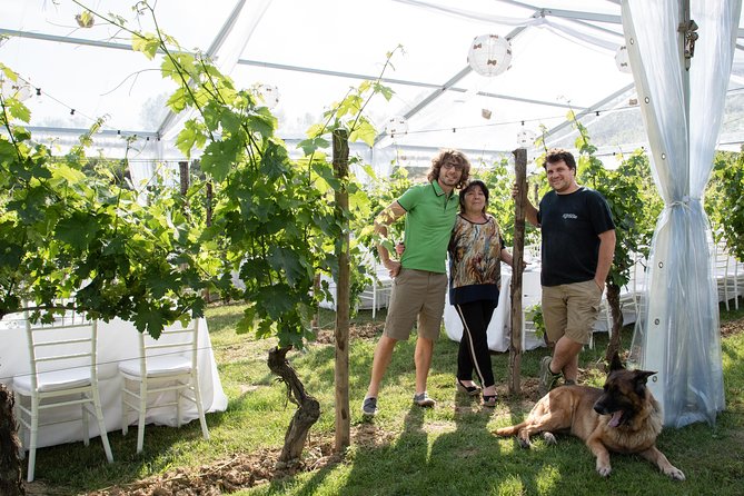 Tuscany Wine Tours in a family winery Podere Pellicciano - Exploring Tuscany’s Hidden Wine Gem: Podere Pellicciano