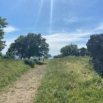 Tuscolo experience in ebike - The Value of the Tuscolo E-Bike Tour