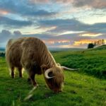 Two Day Taster Tour of Skye and the Highlands - Second Day: Skye’s Famous Sites and Coastal Marvels