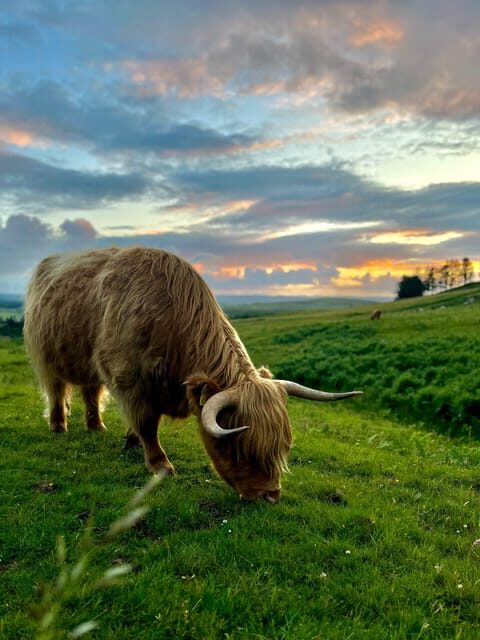 Two Day Taster Tour of Skye and the Highlands - Second Day: Skye’s Famous Sites and Coastal Marvels