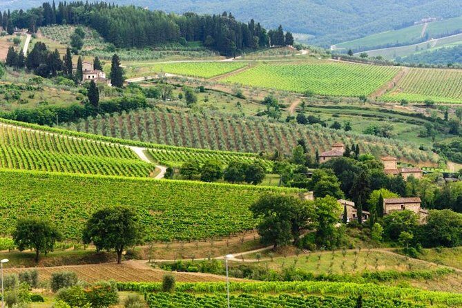 Two days of Tuscany discovering the Nobile, Brunello, Chianti area - Who Will Appreciate This Tour?