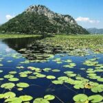 Two Hours Sightseeing Lake Cruise at Montenegro National Park - The Experience: What’s Included and What Costs Extra
