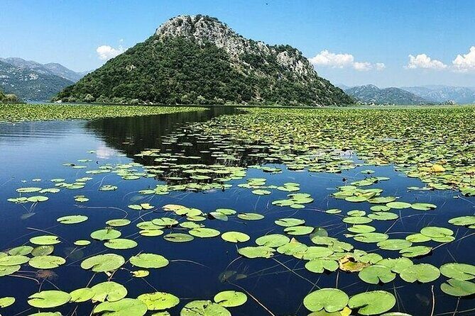 Two Hours Sightseeing Lake Cruise at Montenegro National Park - The Experience: What’s Included and What Costs Extra