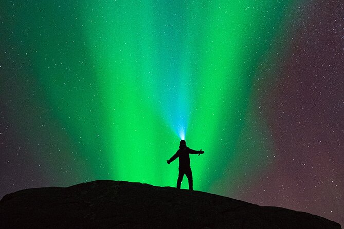 Ultimate Aurora Hunt Northern Lights Van Tour with Hot Drinks - Key Points