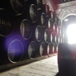Ultimate Sherry Tour From Vejer de la Frontera in English - Discovering Cádiz’s Sherry Heritage
