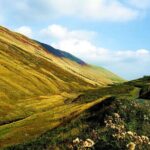 Ultimate Yorkshire Dales Tour - Magnificent Views - Photo Stops - Expert Guide - FAQs