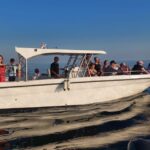 Umag: Dolphinwatching & sunset panorama tour - The Experience in Detail