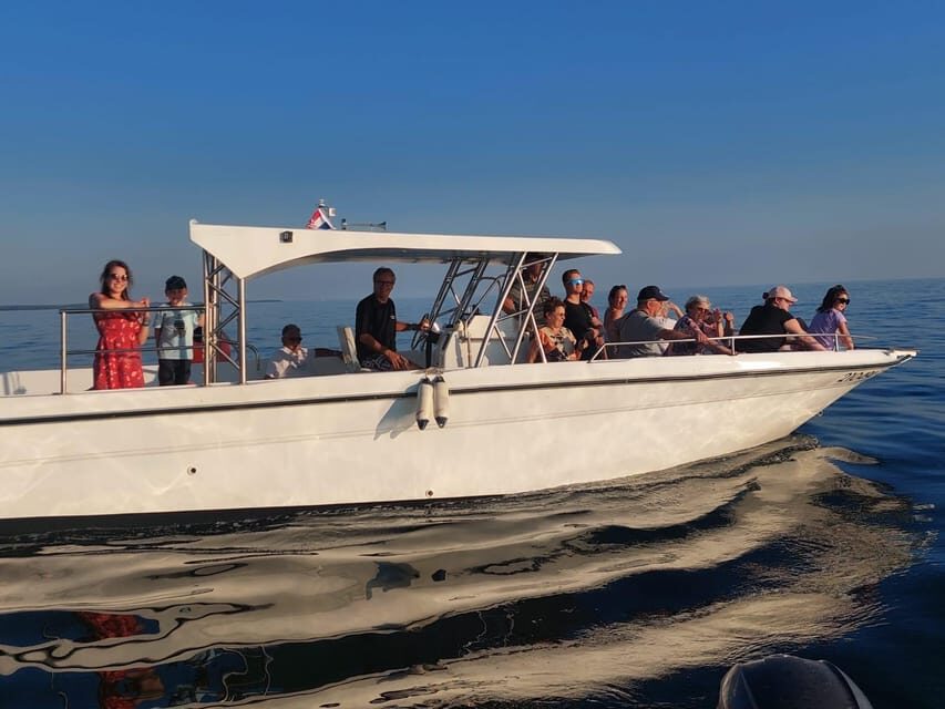 Umag: Dolphinwatching & sunset panorama tour - The Experience in Detail