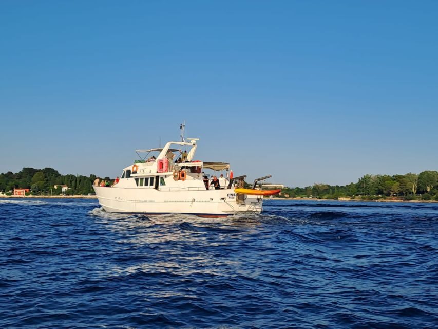 Umag: Sunset Cruise with Dolphin Spotting - The Value and Who Will Enjoy This Cruise