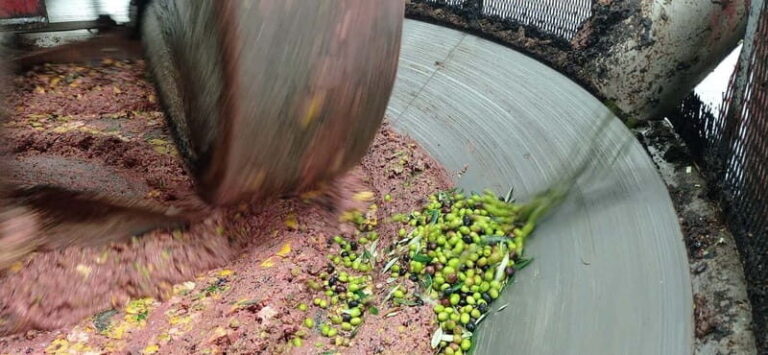 Umbria: guided tour to traditional oil mill + tasting - Authentic, Family-Run Hospitality and Eco-conscious Charm