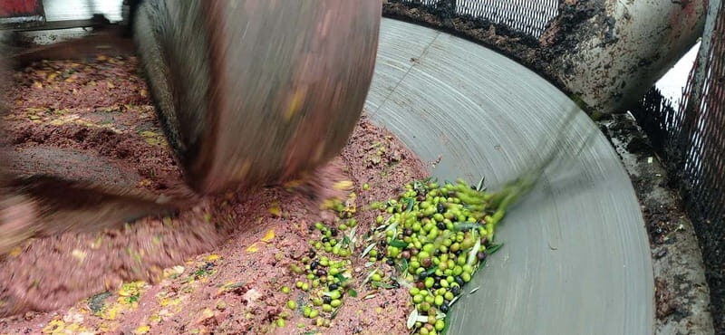 Umbria: guided tour to traditional oil mill + tasting - Authentic, Family-Run Hospitality and Eco-conscious Charm
