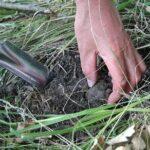 Umbria Truffle Hunting Experience with Brunch - Authentic Experiences and Customer Feedback