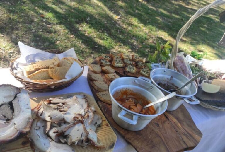 Umbria: Truffle hunting in the woods with lunch - Exploring the Truffle Hunt in Umbria