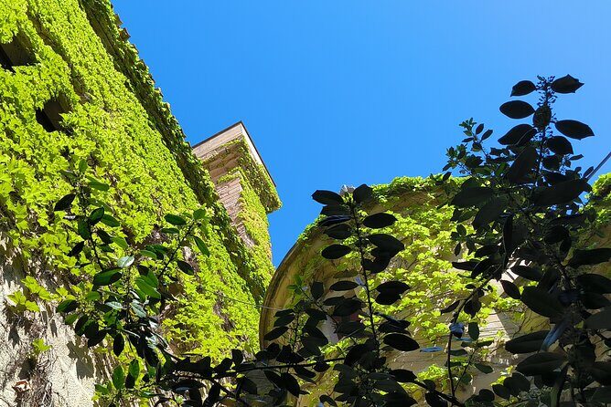 Uncorking Olite: A Private Wine Tour & Royal Castle Experience - The Sum Up