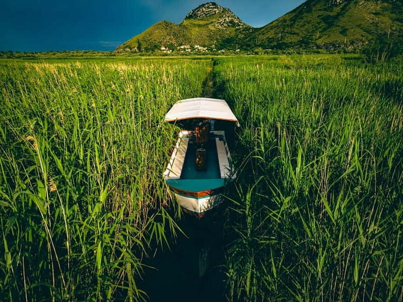 Unforgettable Adventure: Discover SKADAR LAKE - Guided Tour - Detailed Breakdown of the Tour