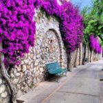 Unique Beauty and Heritage - Capri Walking Tour - The Heart of Capri: Piazza Umberto I